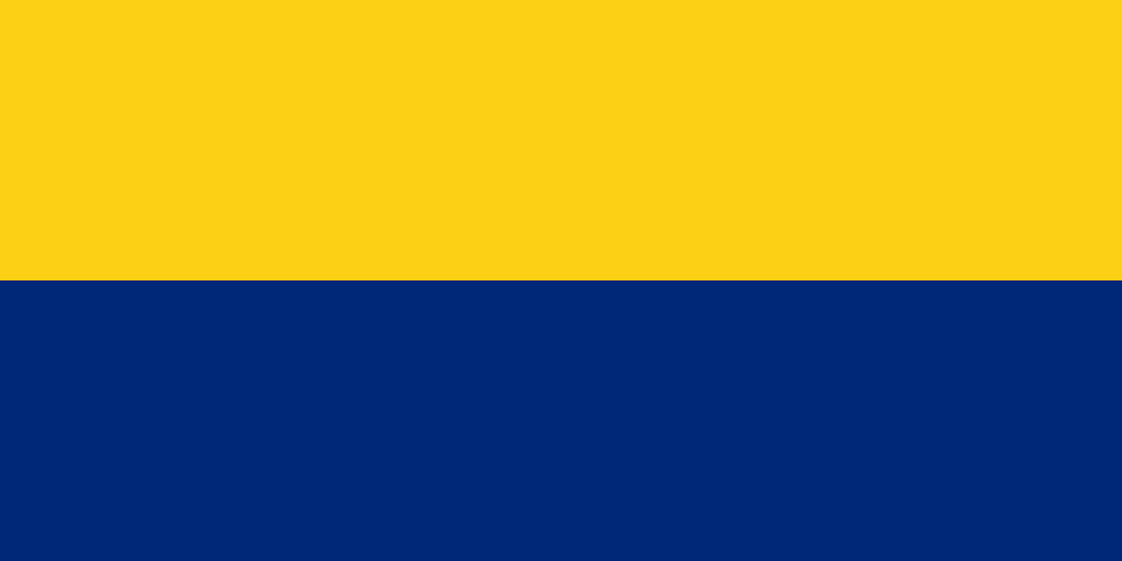 Bendera Negeri – 40th Bukit Mertajam Scout Group